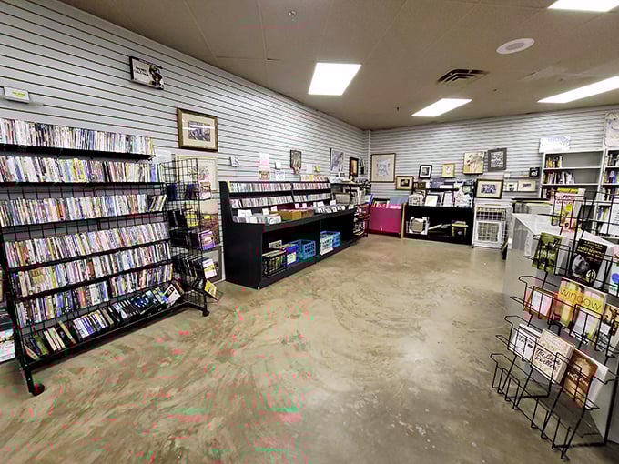 A bibliophile's dream corner where forgotten DVDs and paperbacks await their second chance at entertainment stardom.