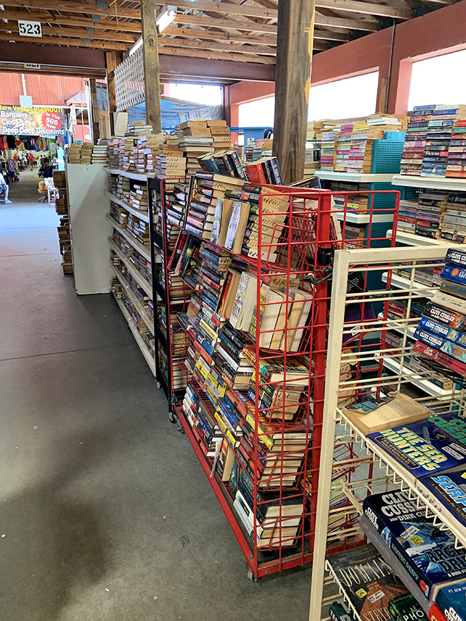 A bibliophile's dream come true: more books than your home shelves could ever accommodate, much to your spouse's relief. 