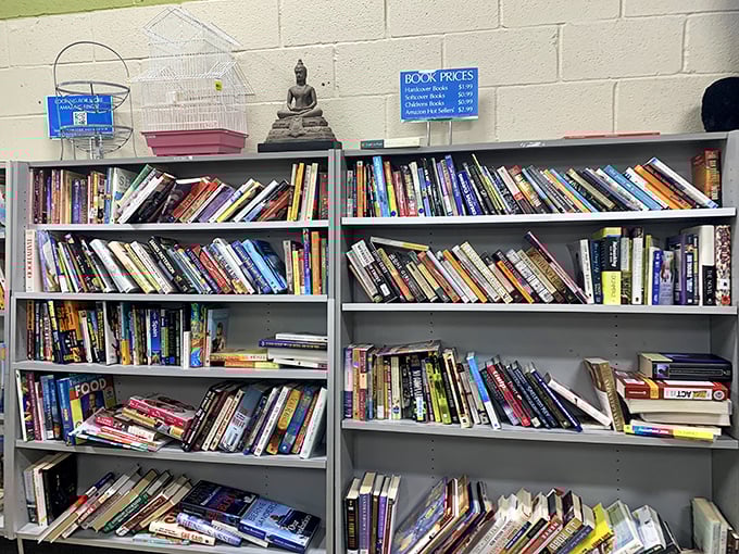 Books stacked like stories waiting to be continued, with a Buddha figurine keeping watch&mdash;perhaps meditating on which literary journey you'll take home today.