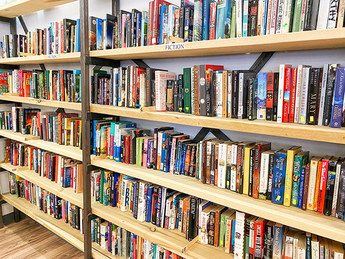 Literary adventures await in towering stacks where forgotten bestsellers mingle with hidden gems from decades past.