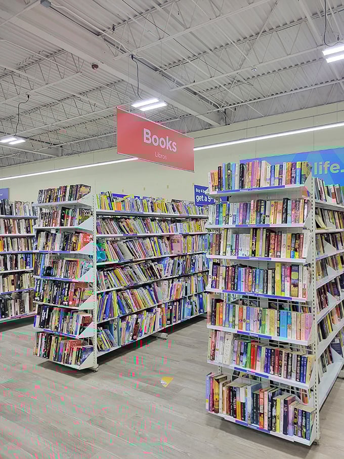 Literary gold mines hide between paperback romances. That out-of-print cookbook or first edition might be lurking just one shelf over.