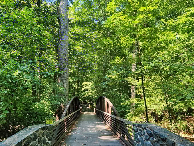 This wooden bridge doesn't just connect two trails &ndash; it connects you to the childhood feeling of adventure that never quite leaves us.