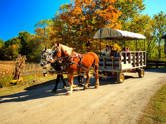 Nothing says "slow down and enjoy life" quite like a horse-drawn carriage ride through history.