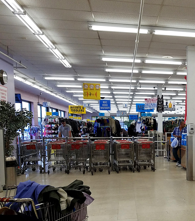 Shopping carts lined up like eager racehorses at the starting gate. Each one destined to carry someone's secondhand victories home.