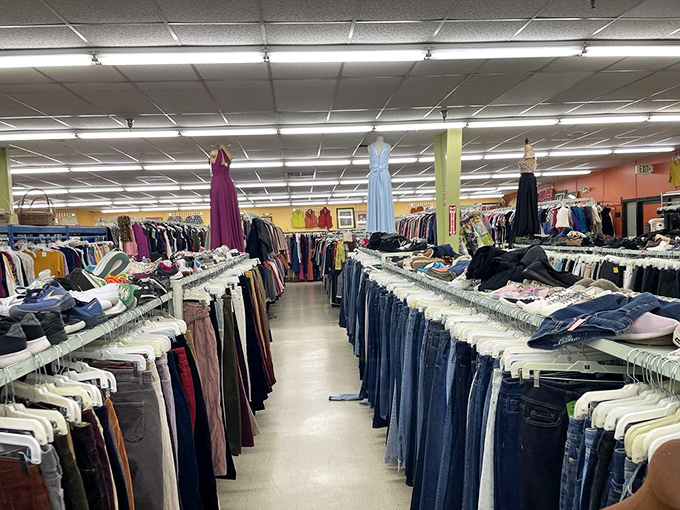 Denim boulevard stretches as far as the eye can see. Those formal dresses hanging above are just waiting for their second chance at prom night.