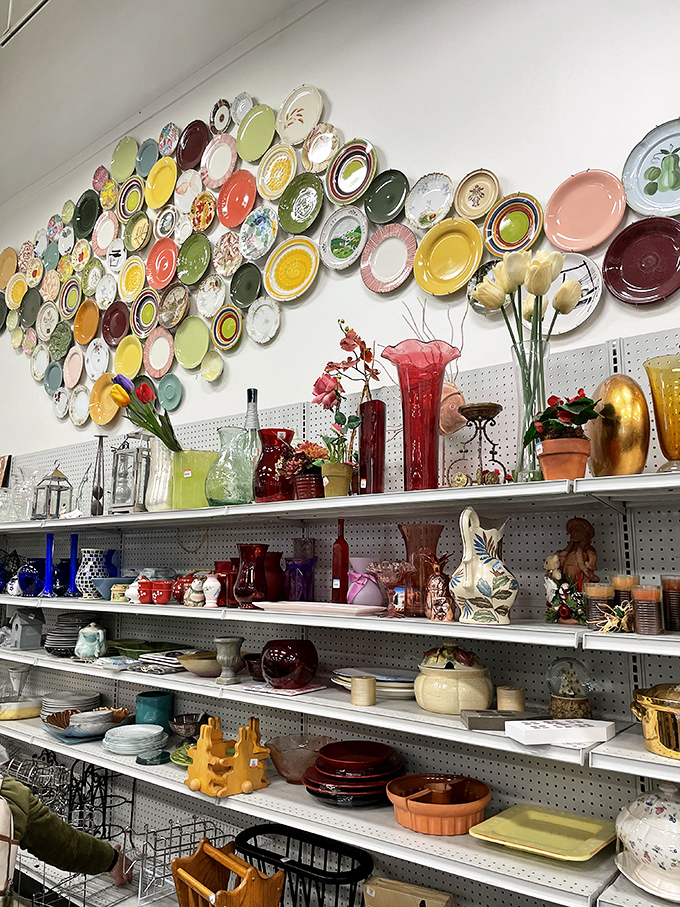 That wall of vintage plates could make Martha Stewart weep tears of pure, unadulterated joy.