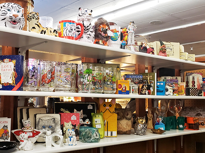 Ceramic tigers, vintage glassware, and owl figurines stand at attention like tiny sentinels guarding memories of decades past. Each shelf tells a different story.