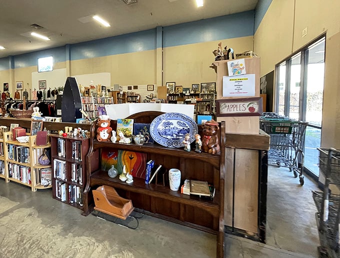 Every shelf tells a story here. From blue willow plates to vintage knickknacks, these items are ready for their second act in your home.