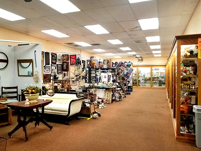 Corridors of curiosities stretch as far as the eye can see. Each booth is someone's carefully curated passion project.