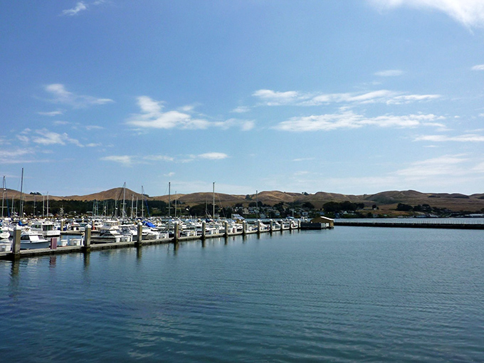 A marina so picturesque it looks like it was designed by a committee of retired postcard photographers and ambitious seagulls.
