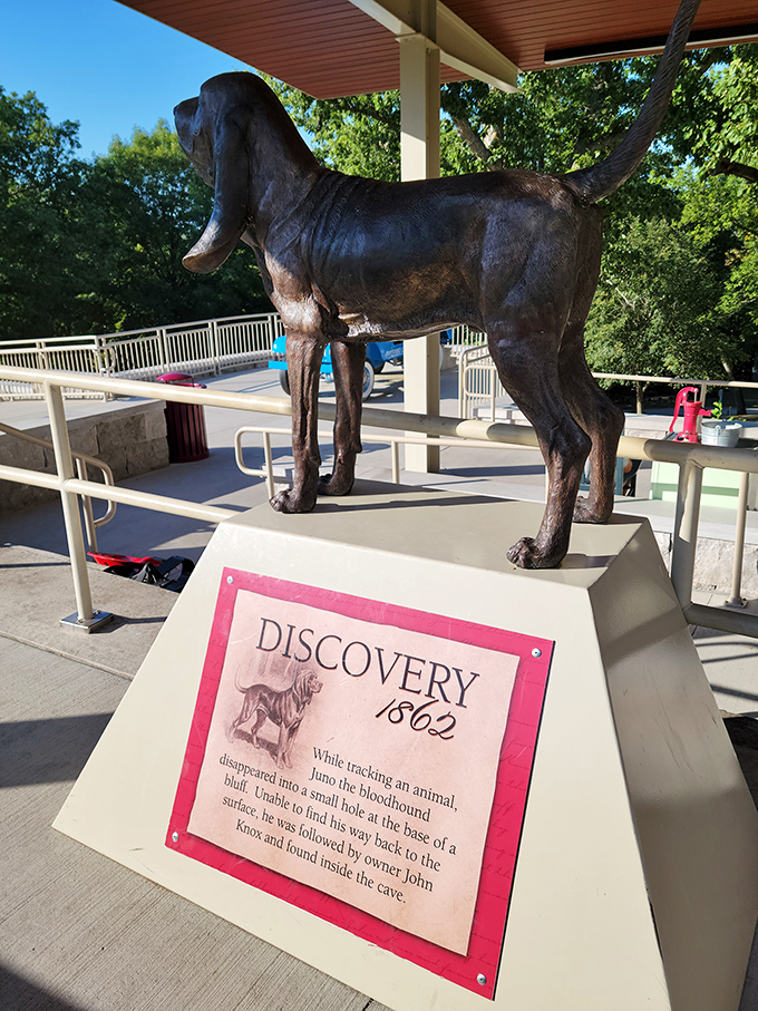 The ultimate good boy who made history! This bronze tribute honors the dog who accidentally discovered Fantastic Caverns while chasing critters in 1862. 