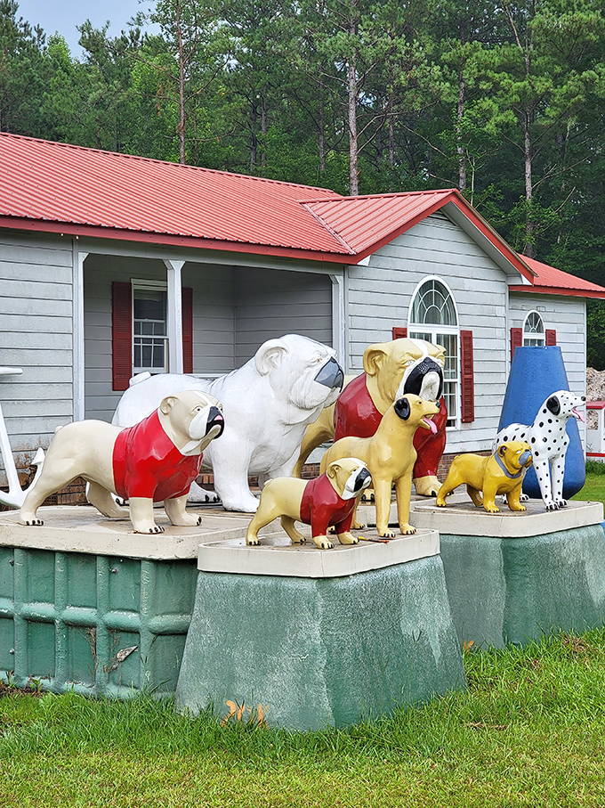The canine security team never sleeps at Grahamland. These fiberglass pups in their bright sweaters look ready for a Westminster show that took a surreal turn.