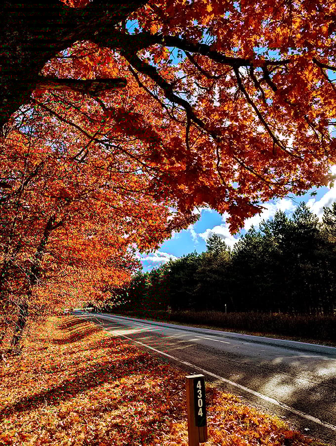 Fall's fiery display transforms the tunnel into nature's fireworks show&mdash;no earplugs required, just a sense of wonder.