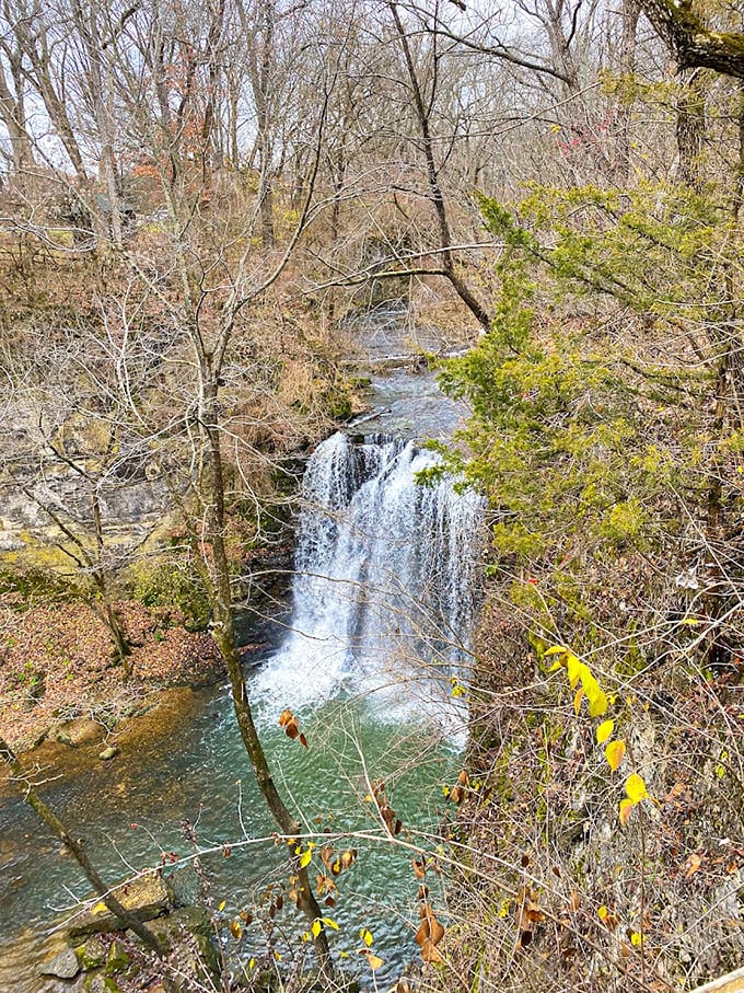 A bird's-eye perspective reveals the falls in all their glory, framed by winter-bare trees and resilient greenery&mdash;Ohio's answer to those fancy tropical waterfalls.