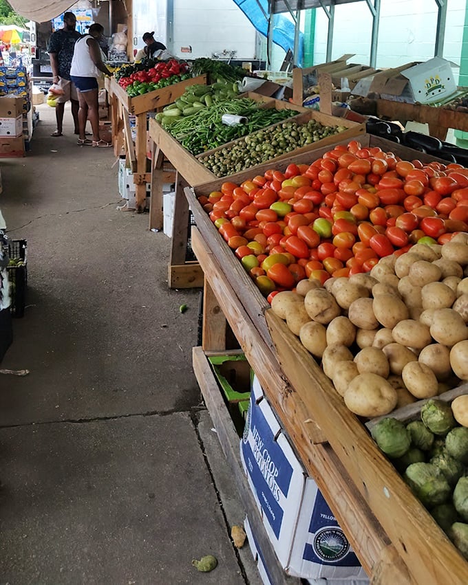 Nature's color palette on full display&mdash;these tomatoes and potatoes didn't get the memo about social distancing from each other.