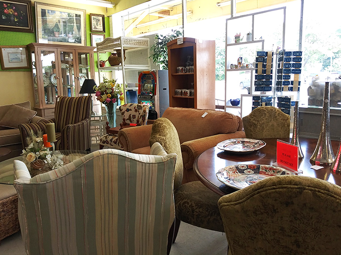 Not just furniture, but conversation pieces waiting to tell new stories. That striped chair has seen things, and now it's ready to see your living room.