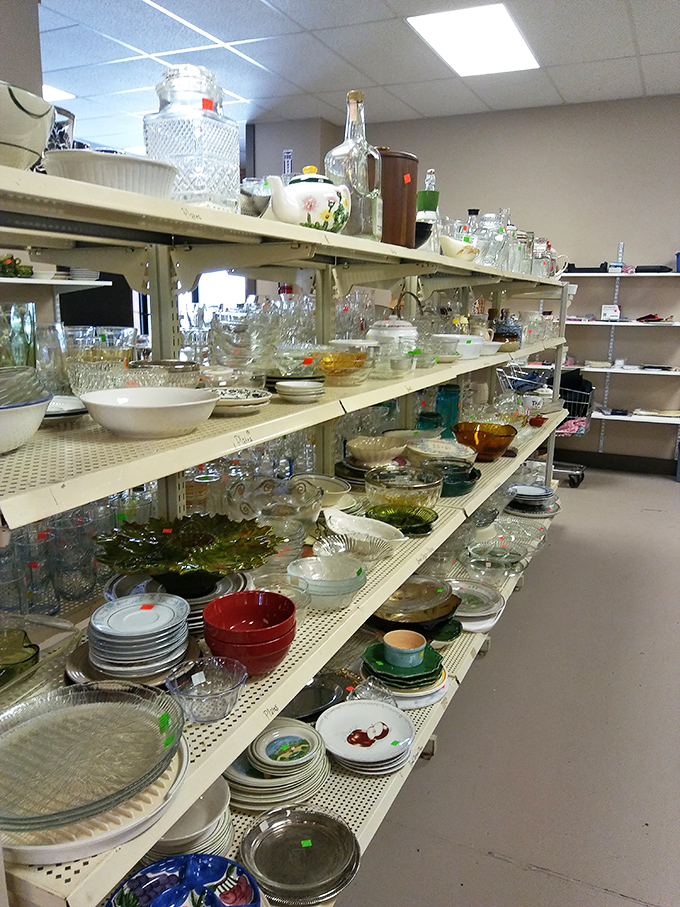Glassware heaven awaits collectors—where your grandmother's vintage Pyrex patterns and tomorrow's dinner party centerpieces share shelf space.