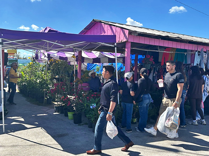 The vibrant pink plant stall draws shoppers like bees to flowers—proof that retail therapy sometimes literally involves actual therapy from plants.