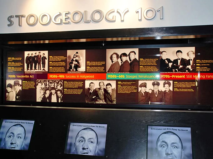 Stoogeology 101 traces the evolution of America's beloved knuckleheads from vaudeville to television, creating PhD-level knowledge of pie-throwing techniques.