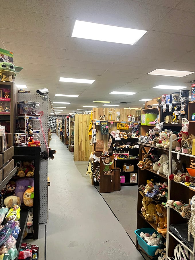 Endless aisles of possibility stretch before you, each turn revealing collections of stuffed animals and treasures waiting for new homes.