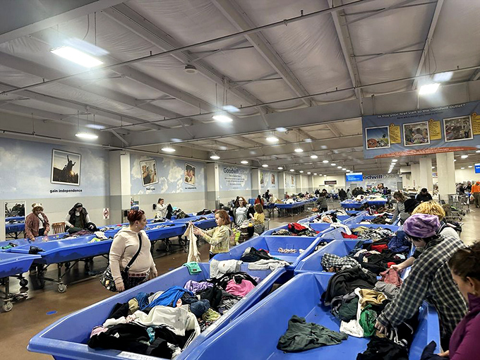 The arena of bargain hunting in all its glory. These blue bins are where retail therapy meets competitive sport for the budget-conscious adventurer.