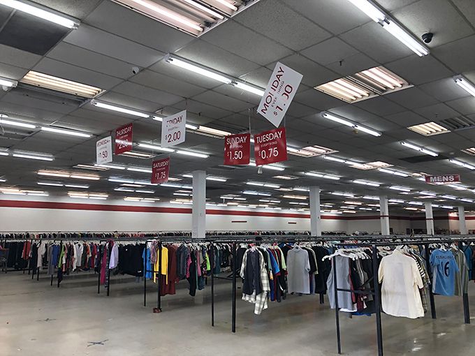 The daily discount system hanging from the ceiling is the stock market ticker of thrifting. Tuesday's blue tags might just fund your coffee habit for a month.