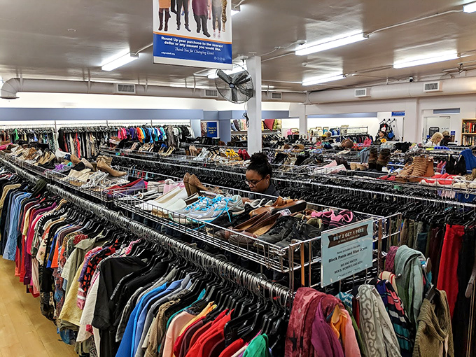 Organized chaos never looked so inviting &ndash; it's like a department store that forgot about markup.