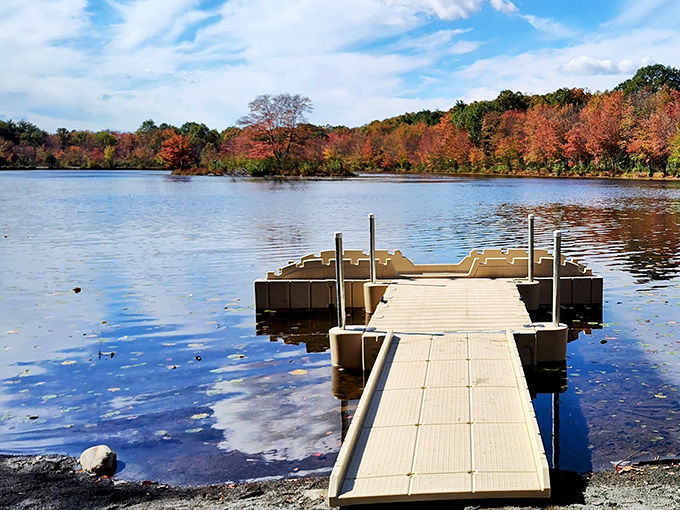 This humble dock invites adventures on Lake Frances. Like a runway for kayaks, it's where everyday explorers launch their aquatic expeditions.