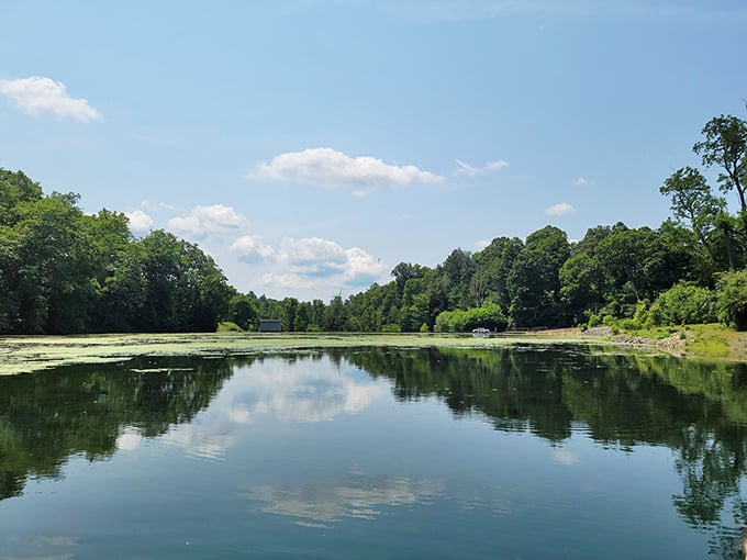 Above ground, Pennsylvania shows off its more traditional beauty. The perfect spot to decompress after your journey to the center of the earth.