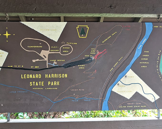 Maps don't just show you where to go – they tell stories of what's possible. This one promises adventures from campgrounds to waterfalls, all within your reach.