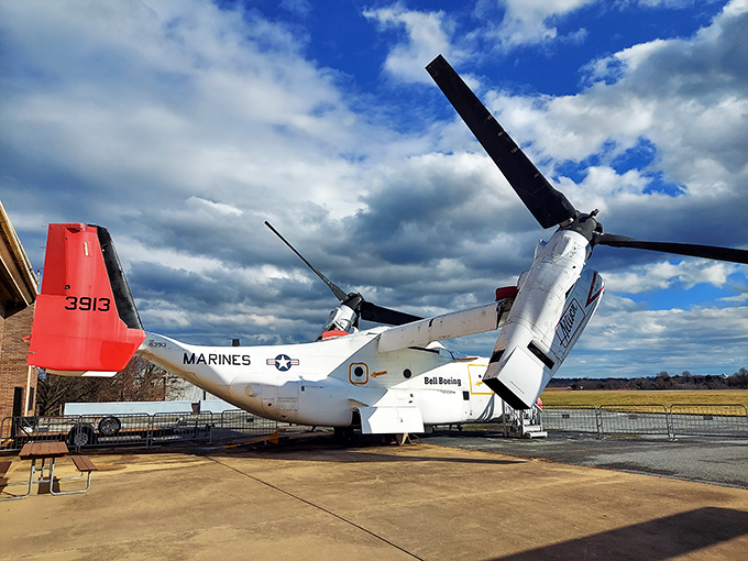 This Bell Boeing V-22 Osprey combines helicopter versatility with airplane speed. Think of it as the mullet of aviation&mdash;business up front, party in the back.