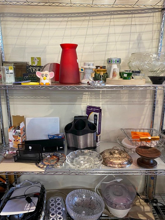 One person's kitchen gadget graveyard is another's culinary playground. These shelves hold forgotten appliances waiting for their second act in someone's cooking story.