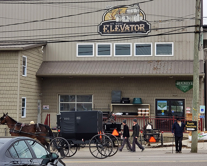 Where tradition meets the road &ndash; Amish buggies parked outside The Elevator remind us that some of life's best flavors move at a slower pace.