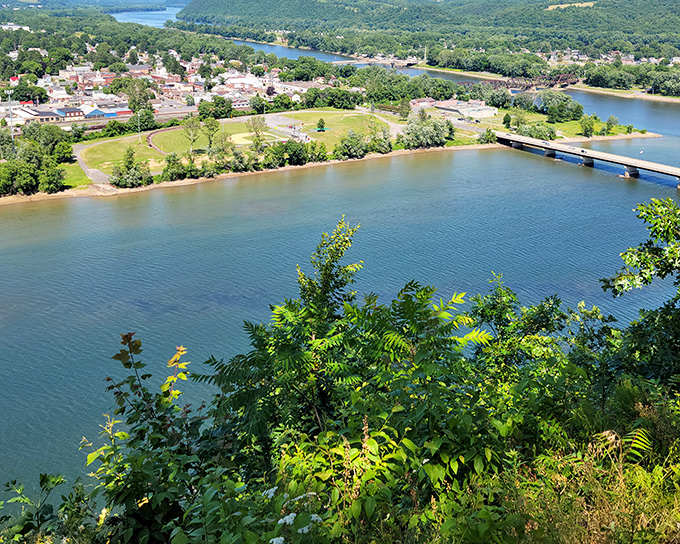 Nature's IMAX experience comes free of charge here. The rolling hills embrace the winding river like old friends catching up after a long separation.