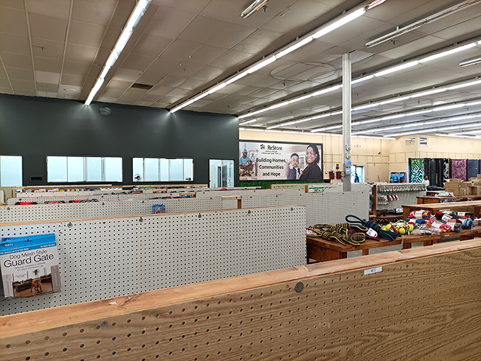 Pegboard paradise! The ReStore's organized chaos somehow makes perfect sense once you start hunting for that perfect home addition.