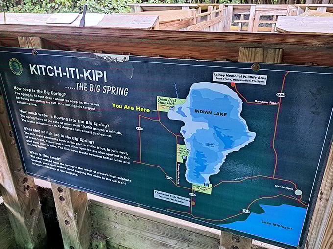 "You are here" &ndash; at one of Michigan's most spectacular natural wonders. The park map reveals Kitch-iti-kipi's location within Palms Book State Park.