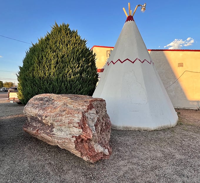 Even the landscaping tells a story - ancient petrified wood adds geological gravitas to this roadside wonder