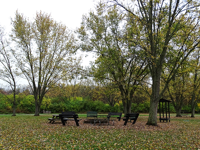 Fall's confetti decorates this picnic area where memories are made between bites of sandwiches and sips of thermos coffee.