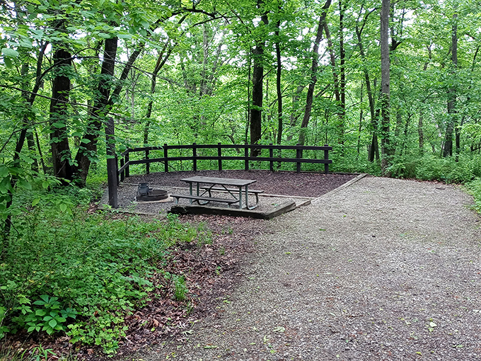 Dining al fresco: where the tablecloth is mulch, the ceiling is leafy canopy, and reservations are never required.