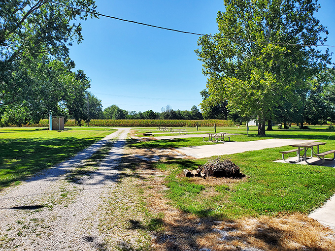 Simple picnic tables invite visitors to enjoy lunch in the shadow of greatness. Nothing enhances a sandwich like dining beside avian royalty.