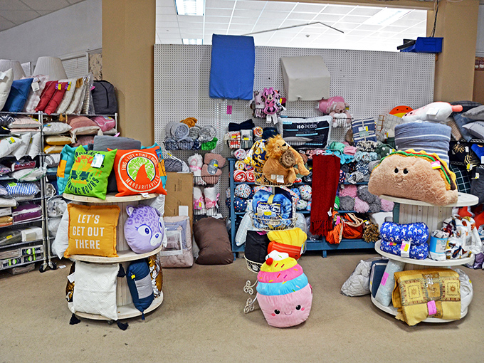 Pillows and plushies galore! From motivational messages to cuddly companions, there's something to brighten every couch in Missouri.