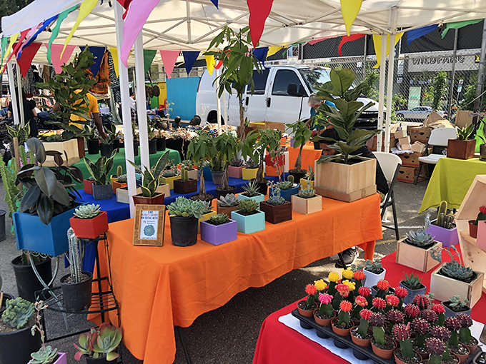 A kaleidoscope of potted succulents and cacti create a miniature desert landscape, proving that even plant shopping becomes an art form at Silverlake Flea.