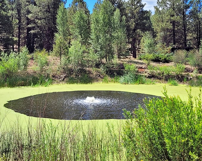 Even the water features here seem to understand the assignment: pure mountain tranquility with a gentle fountain soundtrack. 