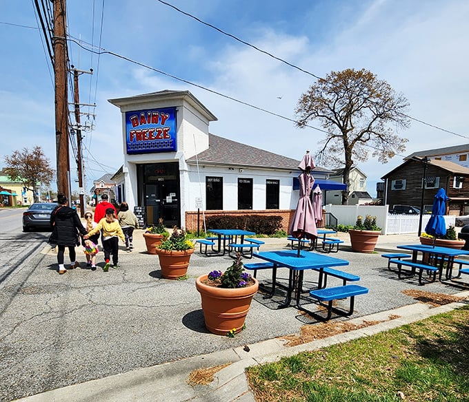 Dairy Freeze isn't just serving ice cream; it's dishing out childhood nostalgia with a side of "why don't we sit outside and watch the world go by for a while?"