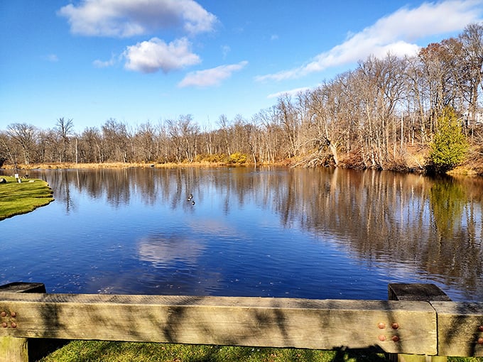 The Flat River flows unhurried beneath the bridge, reflecting Michigan's blue skies and creating nature's perfect mirror for the surrounding trees.