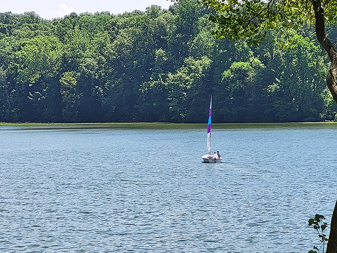 Sailboats glide across Kiser Lake like graceful dancers, proving serenity never goes out of style.