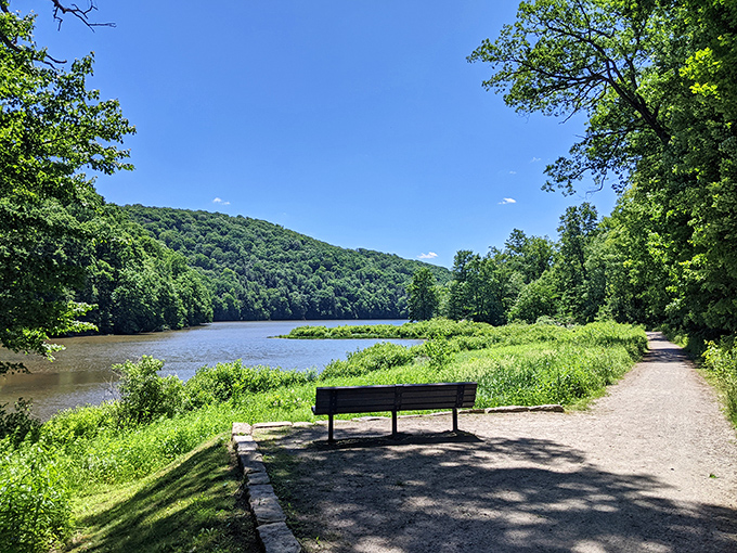 The perfect lakeside meditation spot complete with VIP seating. Some therapy sessions don't require talking, just this view.