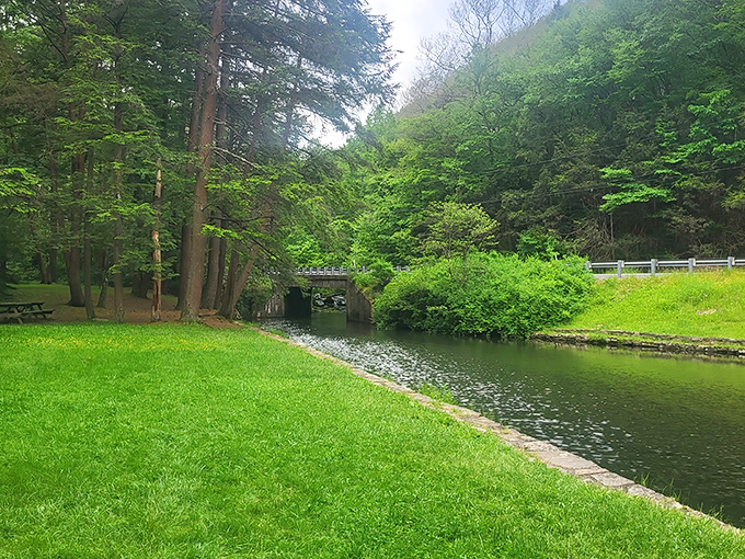 This picturesque bridge crossing feels like stepping into a storybook setting. The kind of place where problems shrink and perspective grows.