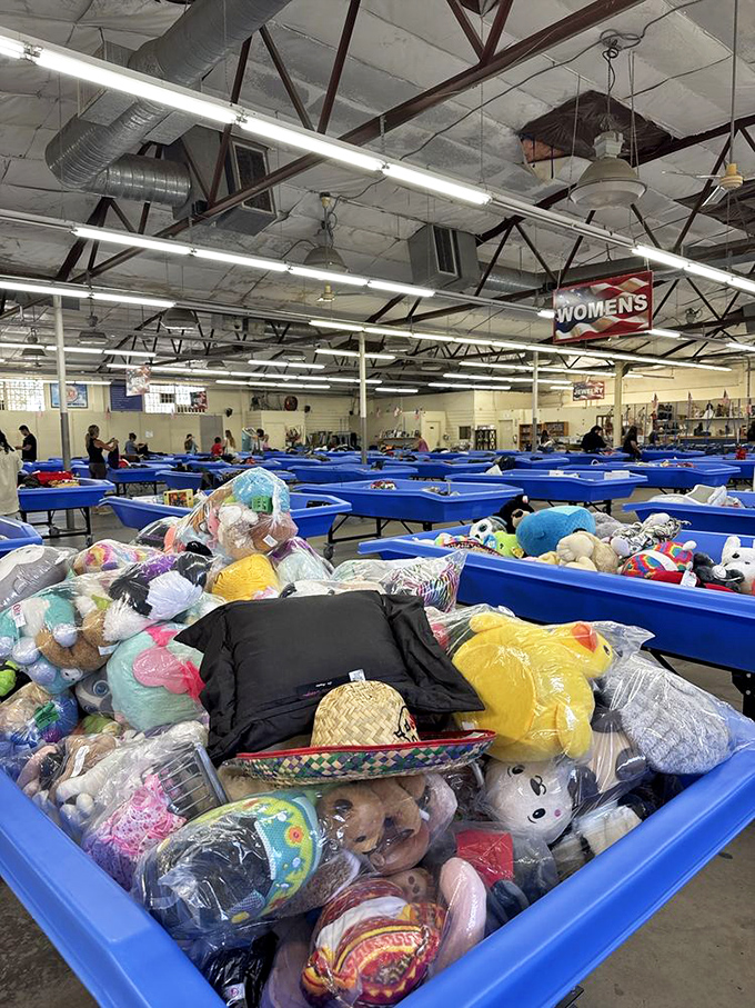 Blue bins: where stuffed animals go for their second act. That yellow duck might be someone's next beloved companion.