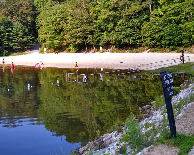 Summer's greatest invention: the lake beach. No sharks, no salt in your eyes, just pure Pennsylvania swimming bliss.